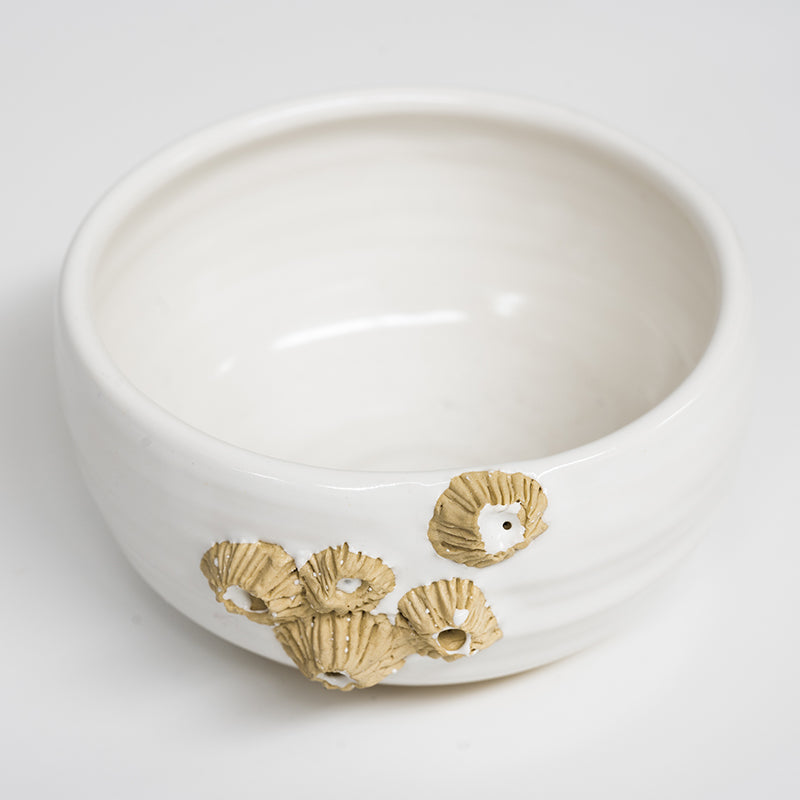 Barnacle Ice Cream Bowl– Archipelago - The Island Institute Store